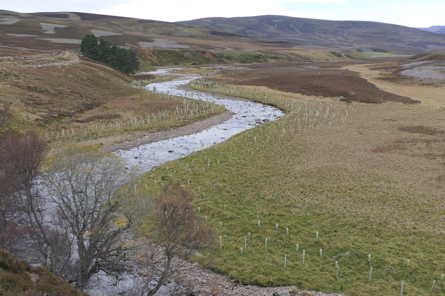 Habitat Protection - NASCO